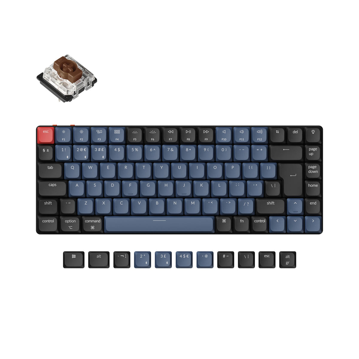 Keychron ISO/JIS Mechanical Keyboard Collection – Keychron Hong Kong
