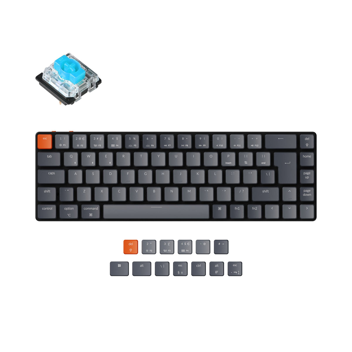 Keychron ISO/JIS Mechanical Keyboard Collection – Keychron Hong Kong