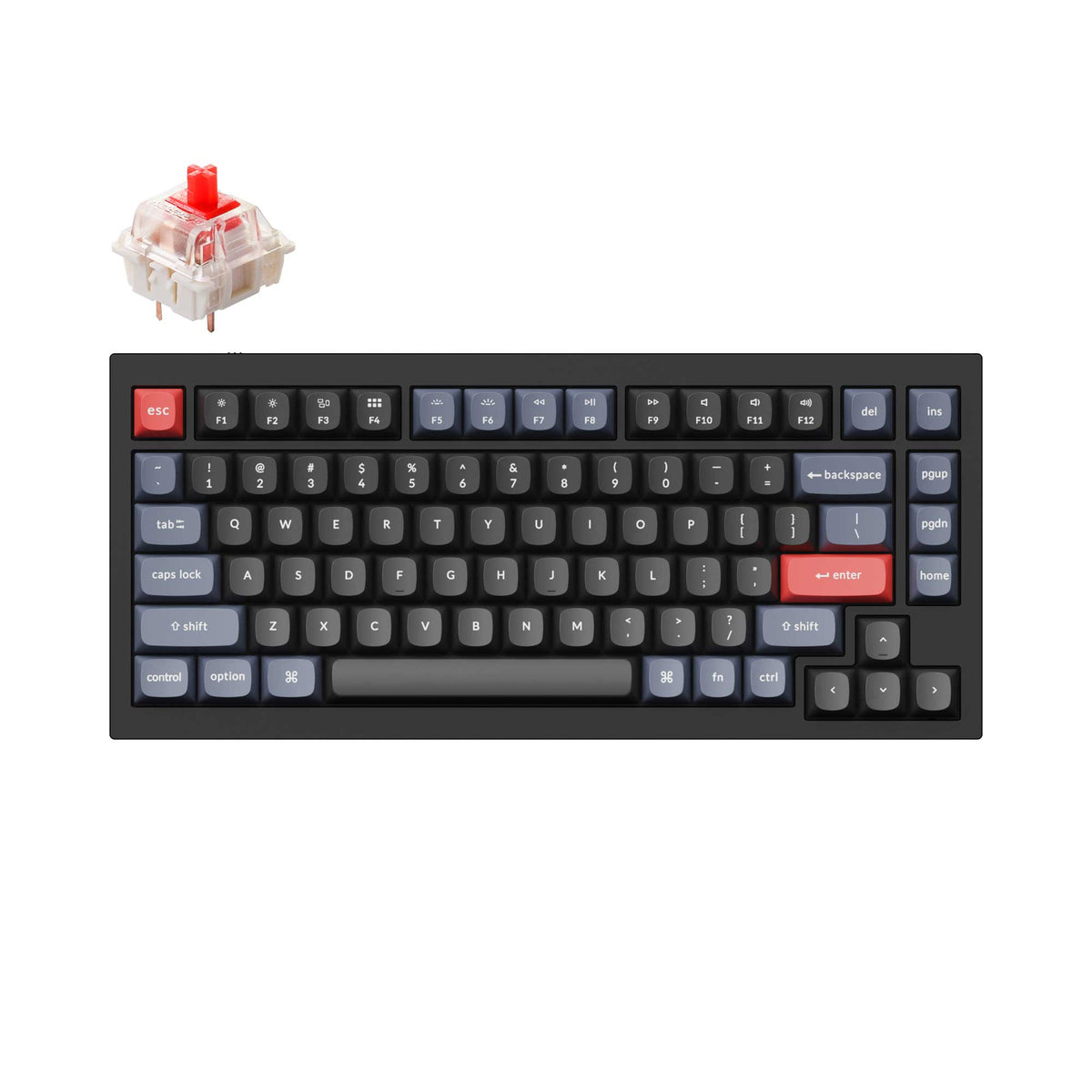Keychron Hong Kong | Custom Mechanical Keyboards for Mac, Windows