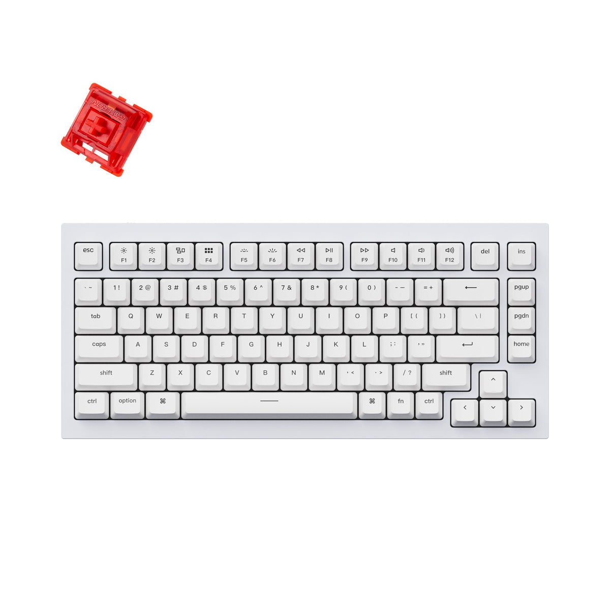 Keychron ISO/JIS Mechanical Keyboard Collection – Keychron Hong Kong