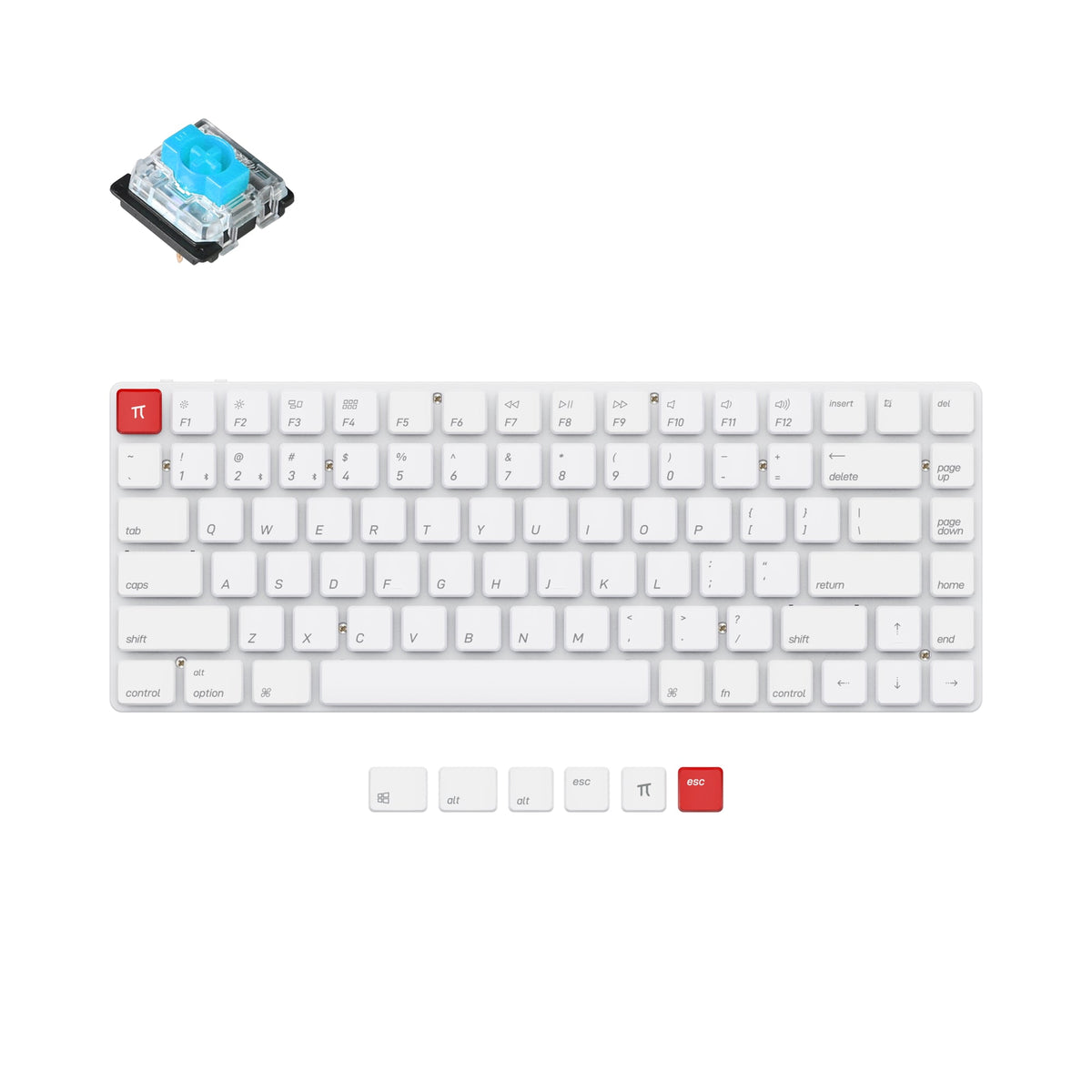 Low Profile Keyboard Collection – Keychron Hong Kong